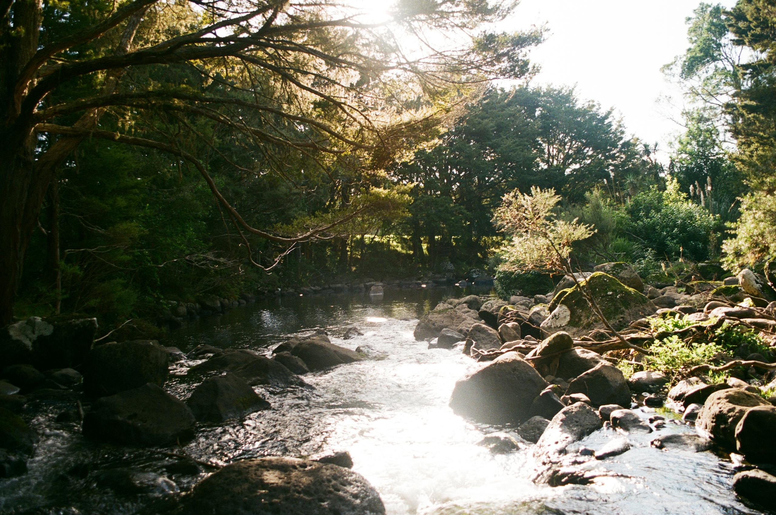 Reading Water: A Complete Guide for Fly Anglers | Executive Angler